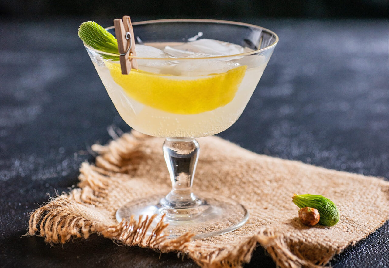 Spruce Tip-Infused Vodka - Forest For Dinner | Wild Food Specialist on ...