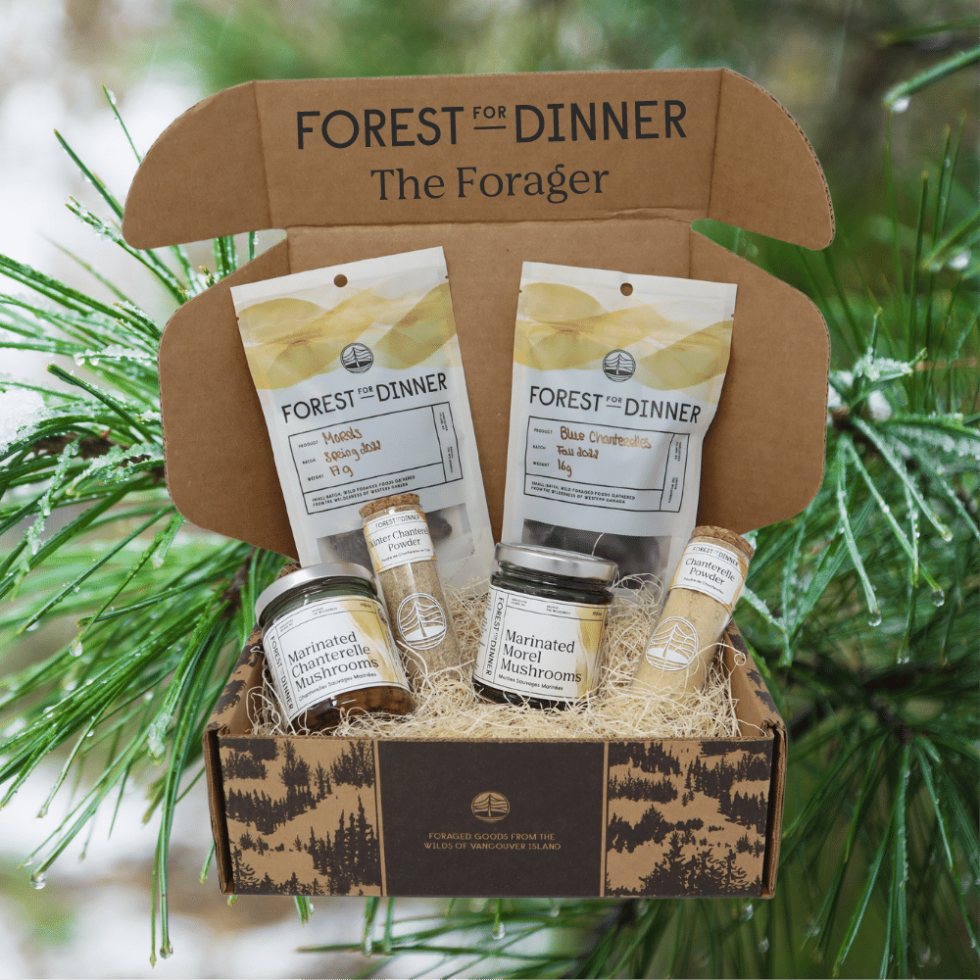 Forest For Dinner | Wild food specialist