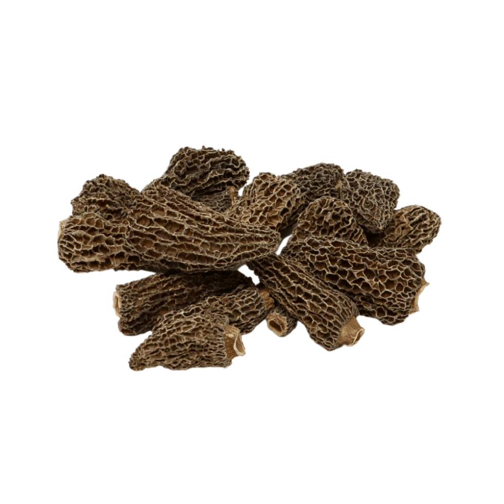 Dried Morel Mushrooms Forest For Dinner Wild Food Specialist On Vancouver Island