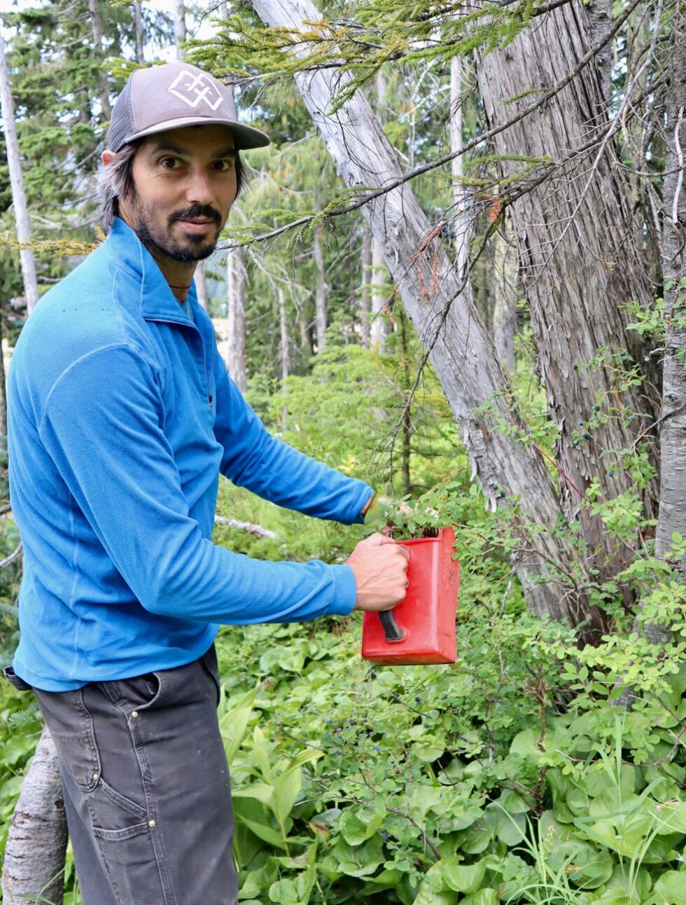 Foraging Tours Vancouver Island, BC - Forest For Dinner