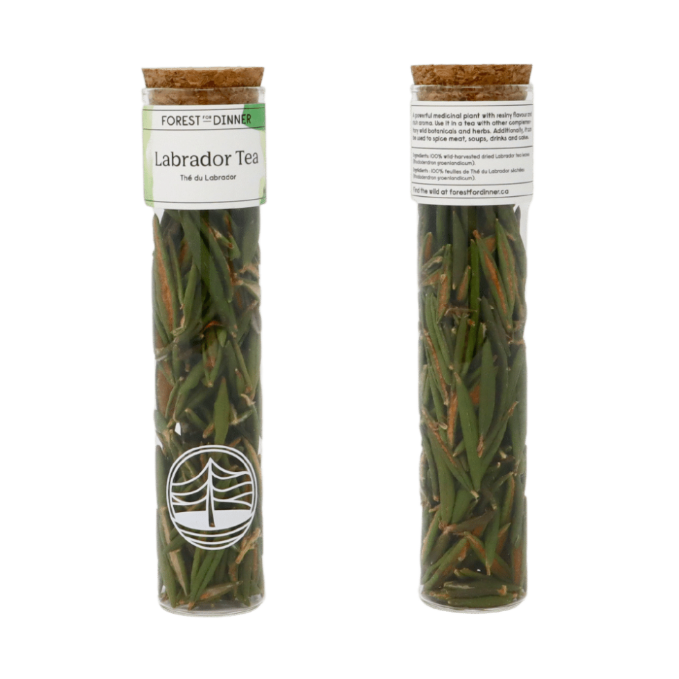 Dried Labrador Tea - Forest For Dinner | Wild Food Specialist on ...