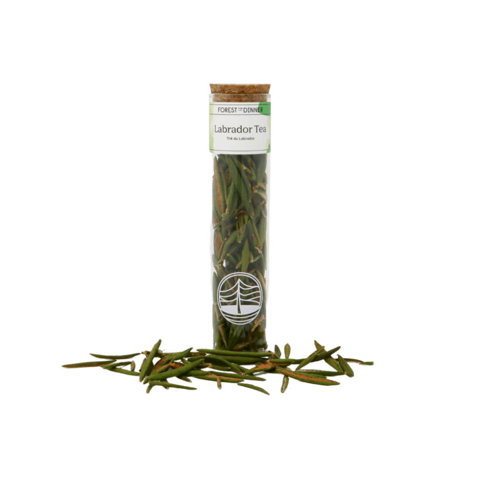 Dried Labrador Tea - Forest For Dinner | Wild Food Specialist on ...