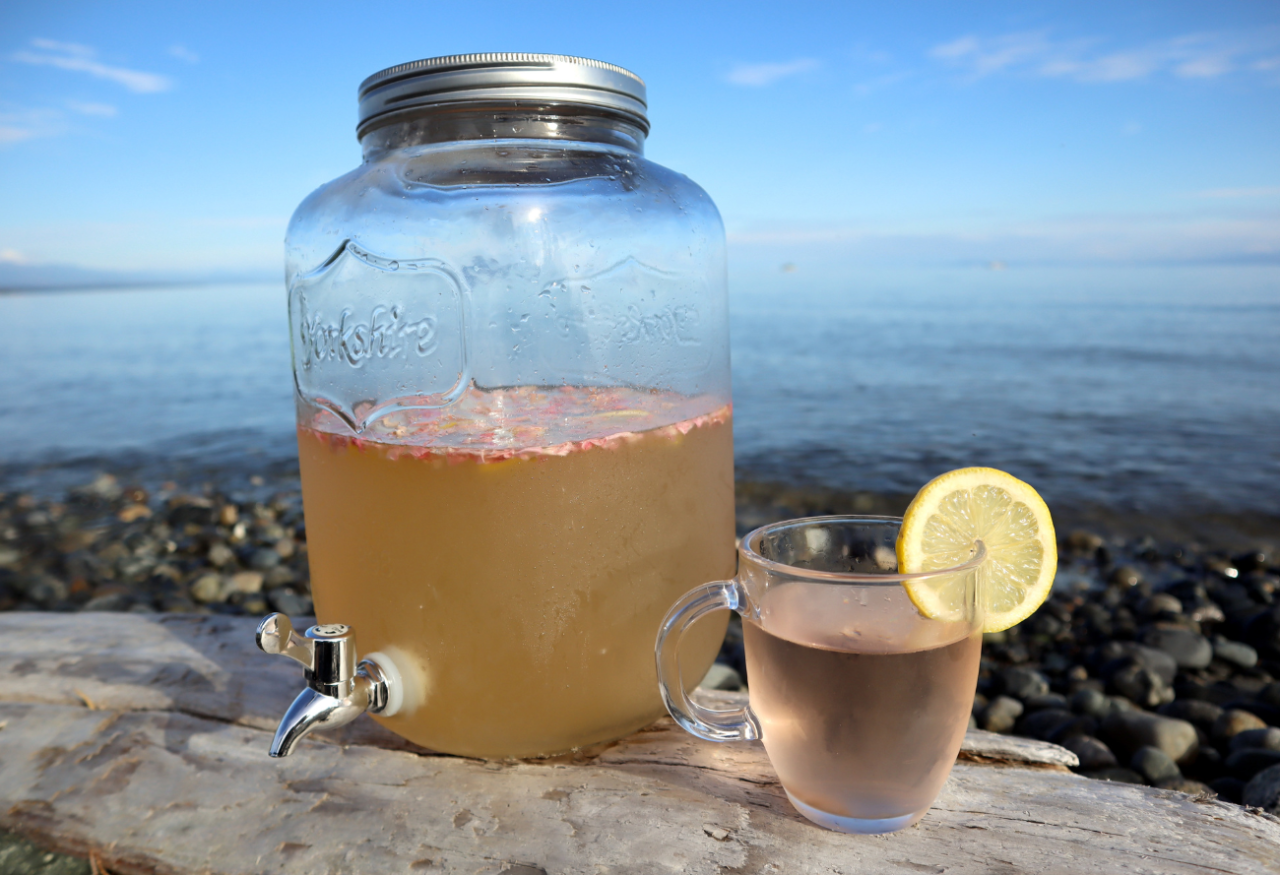 Wild Botanical Lemonade - Forest For Dinner | Wild Food Specialist on ...