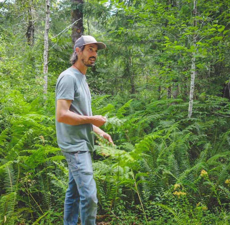 Foraging Tours Vancouver Island, BC - Forest For Dinner