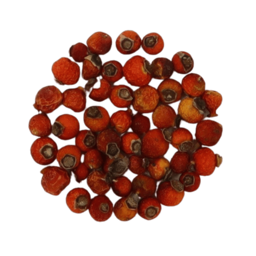 Dried Rose Hips - Forest For Dinner | Wild Food Specialist on Vancouver ...